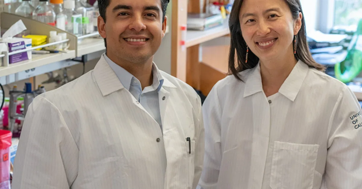 Headspace Invaders: How Mosquito-Borne Viruses Breach the Brain’s ...